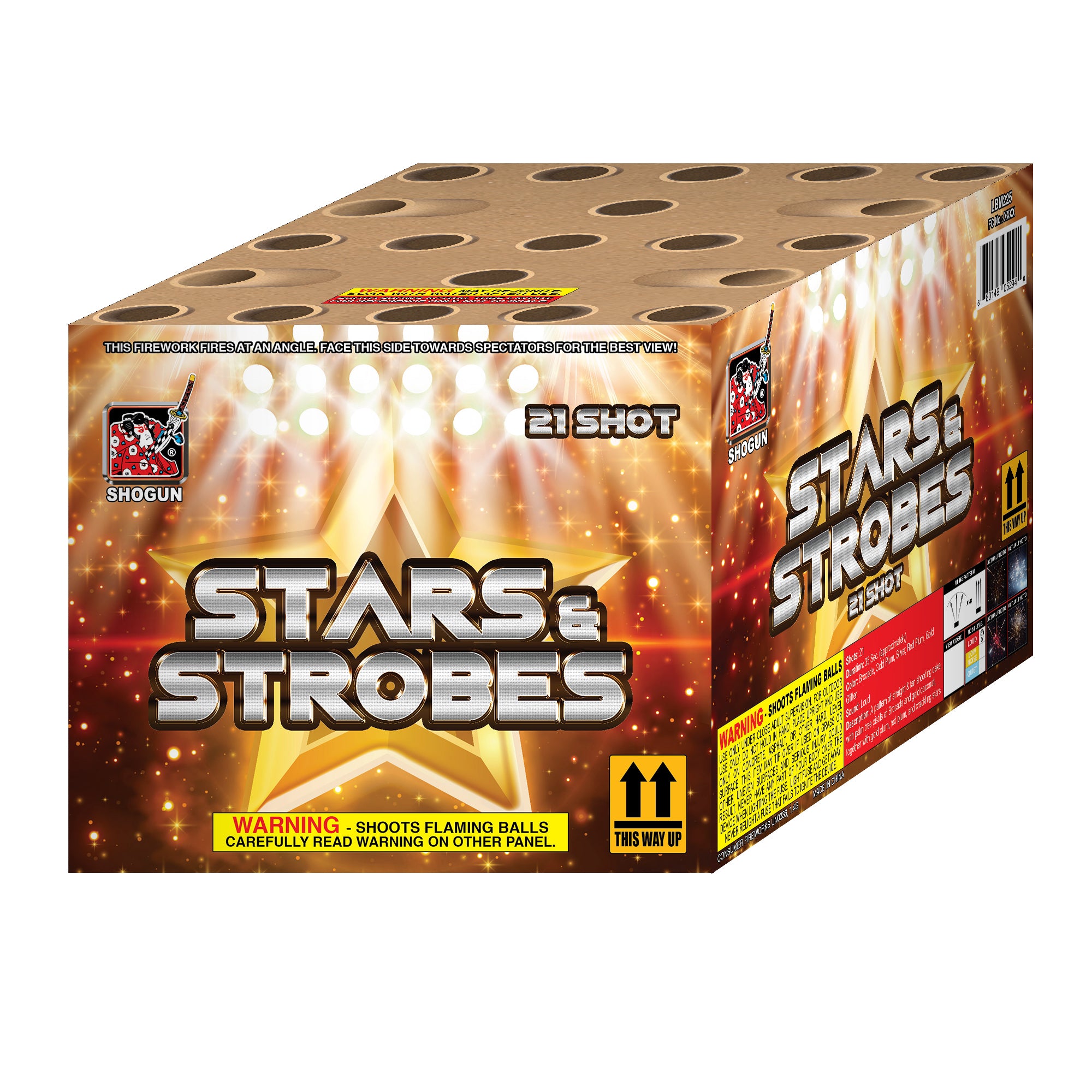 Stars and Strobes – Rozzi Backyard Fireworks